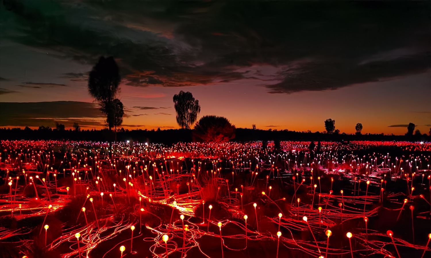 3 Must-See Under-The-Stars Experiences in the Northern Territory