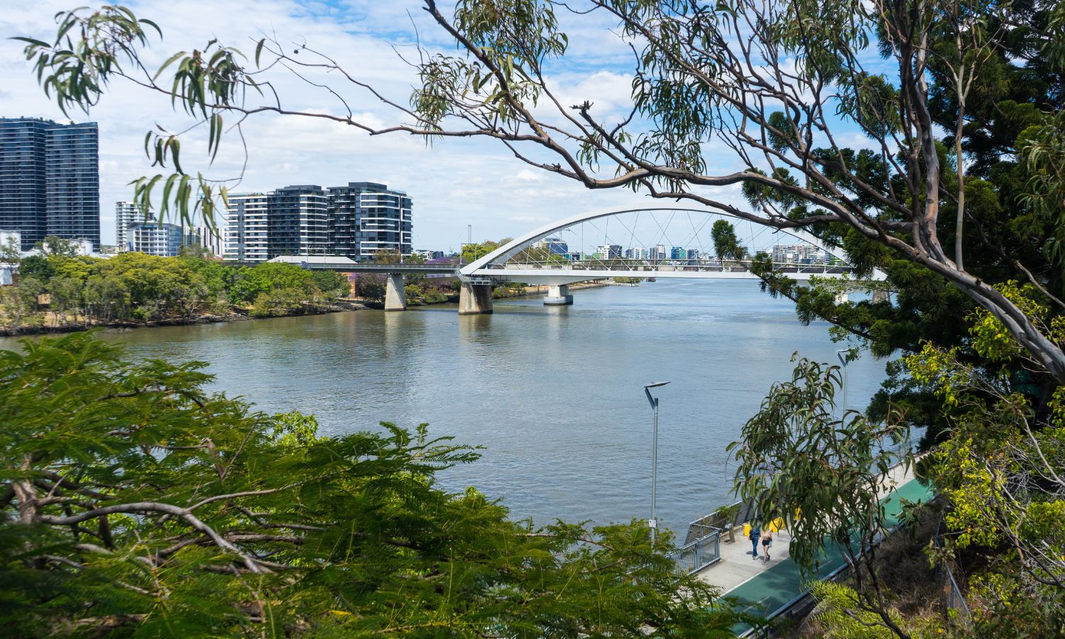 Best Brisbane Walks You Can Do in a Day